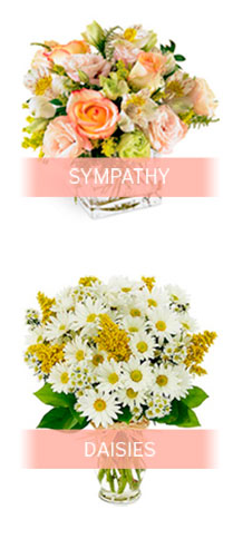 Florist Springfield Mo 🌷 Dec 2025